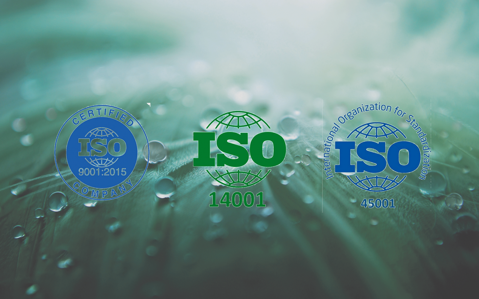 Qualipac certified ISO 9001 – Groupe Pochet